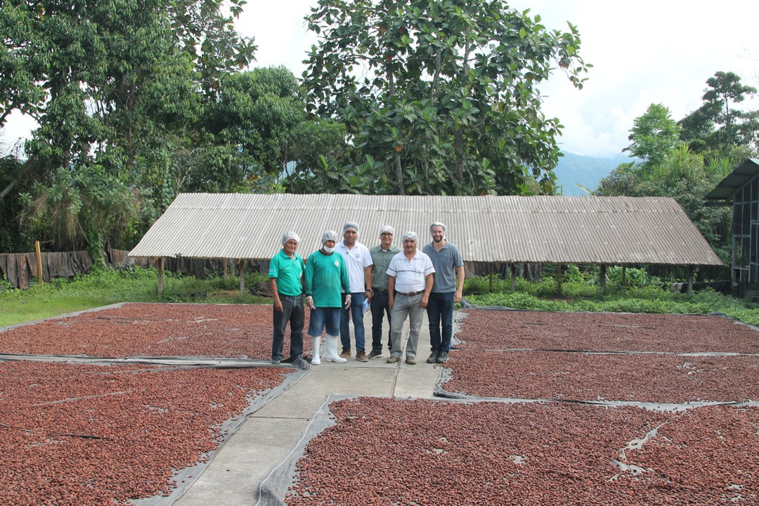 Brewing Cacao – Tabal Chocolate & Cacao Products With Intention